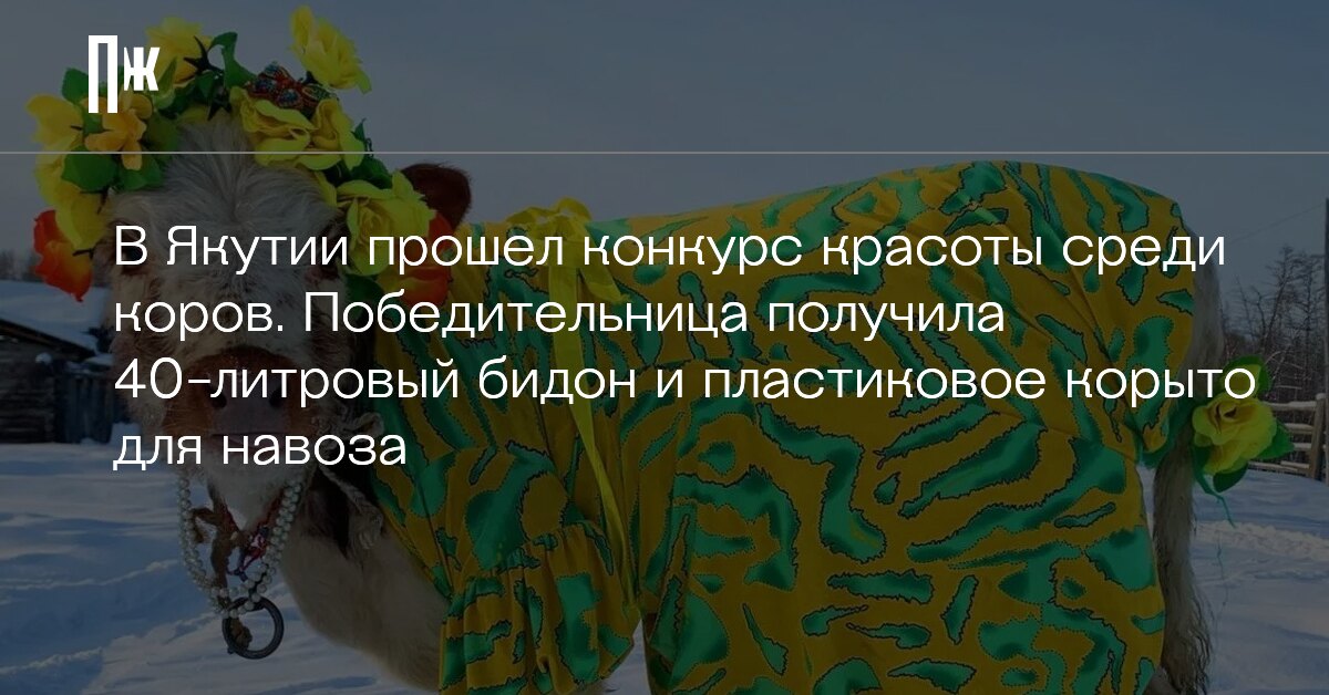 В Якутии прошел конкурс красоты среди коров